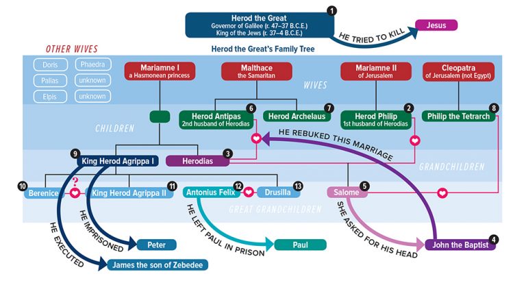 Herod the Great and the Herodian Family Tree
