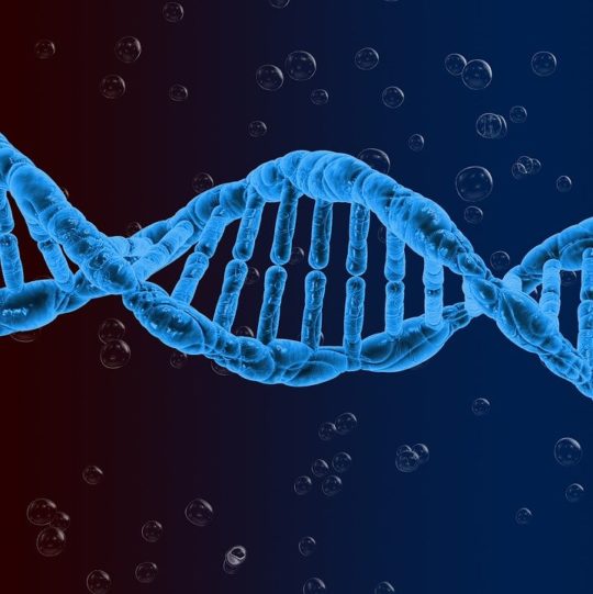 The Survivors of Mount Vesuvius - Biblical Archaeology Society